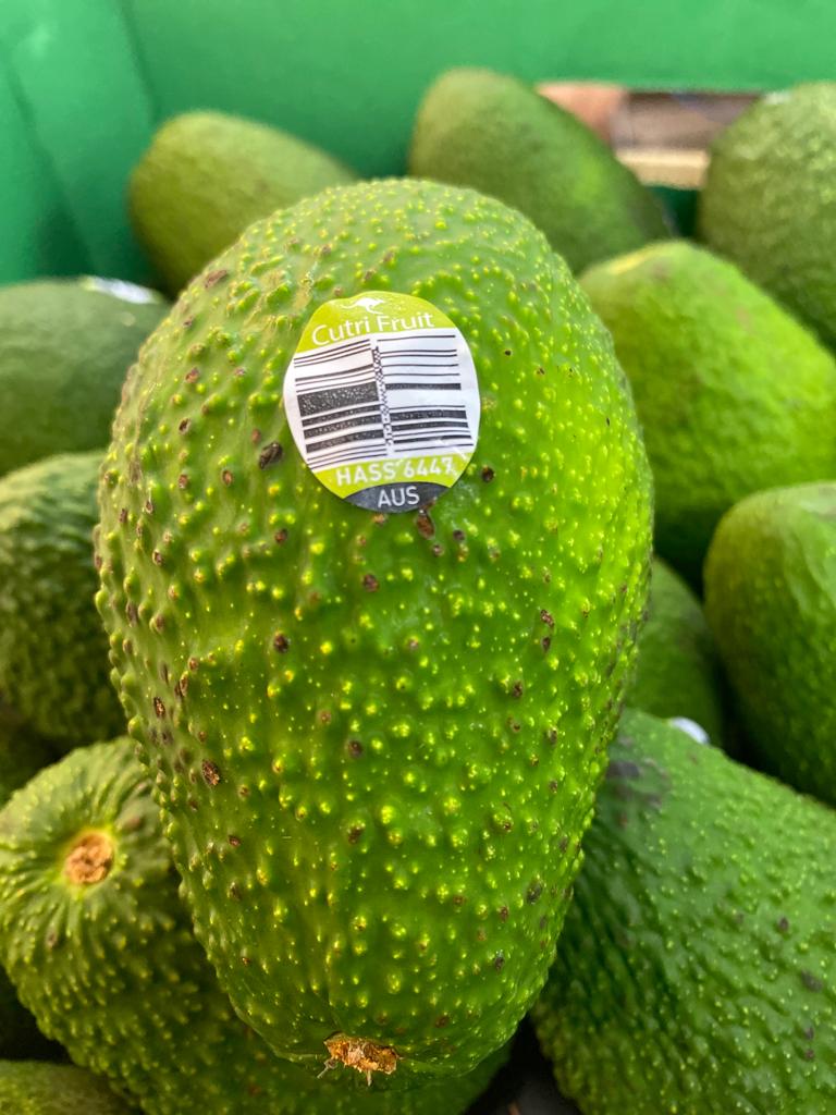 Australian Hass Avocado 1pc (Buy More Save More) – Wmart