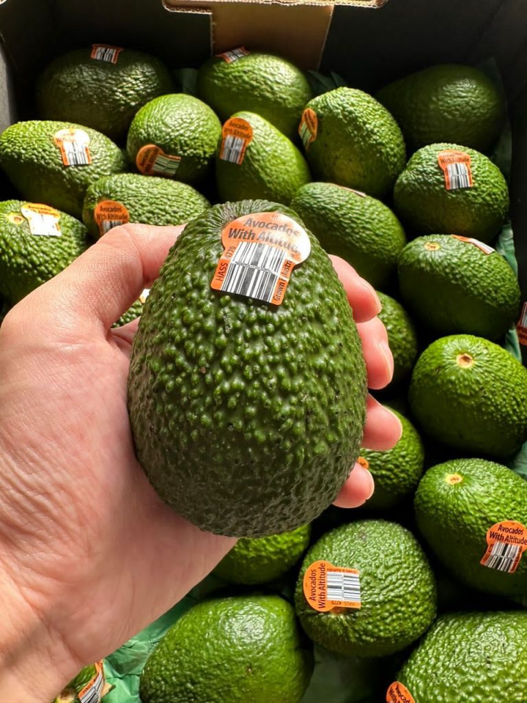 Australian Avocado 1pc – Wmart